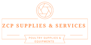 Point of Lay Hens/Pullets | greenhillchickensandeggs